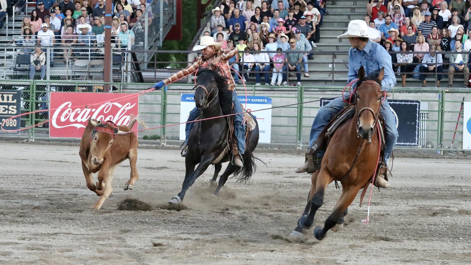 Rodeo For Dummies: Wyoming’s Favorite Sport Explained For The City ...