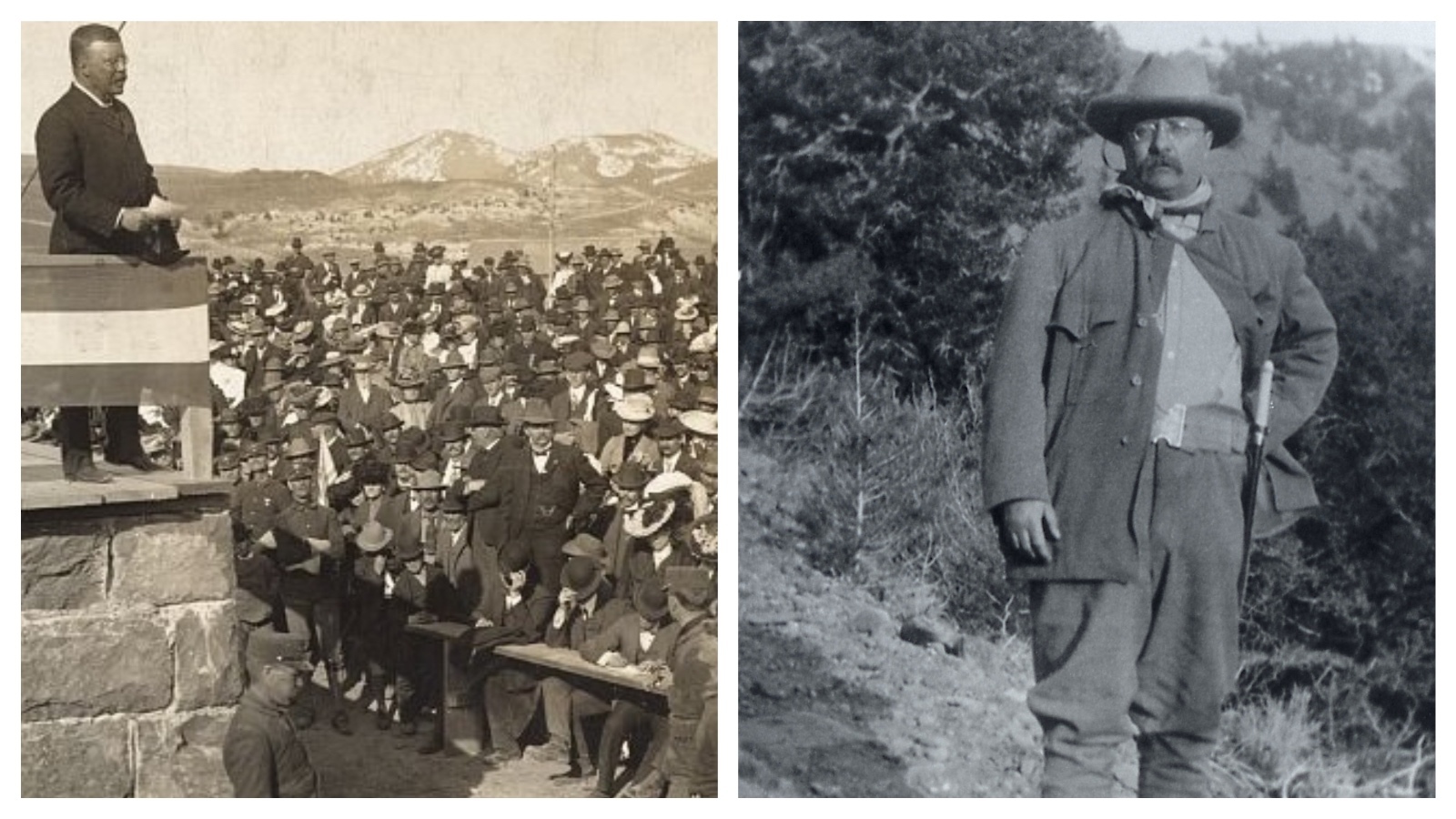 Wyoming History: Teddy Roosevelt Wanted Big Game In Yellowstone, But ...