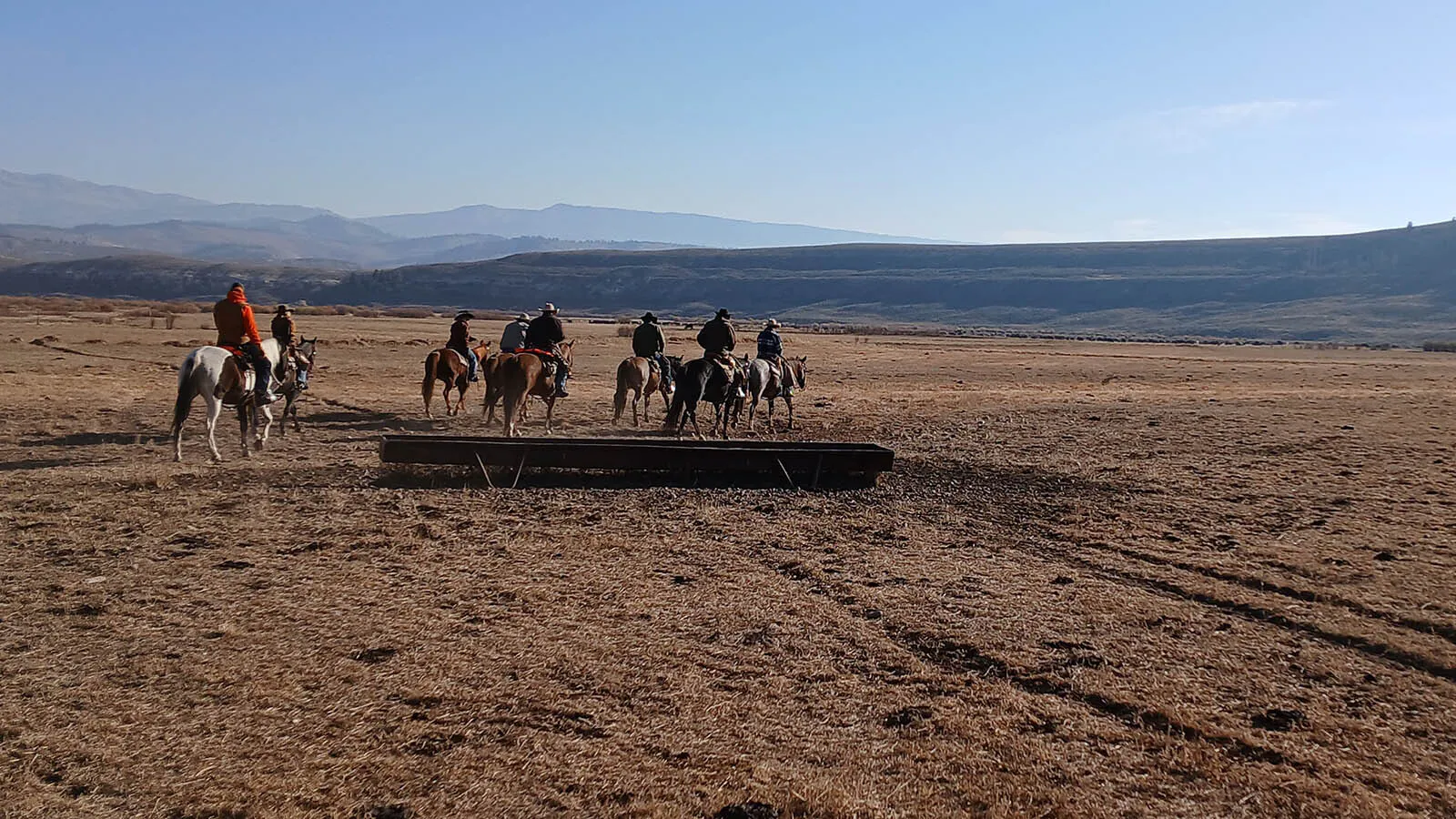 Fall Means Cowboys Are Out Rounding Up Cattle In Western Wyoming ...