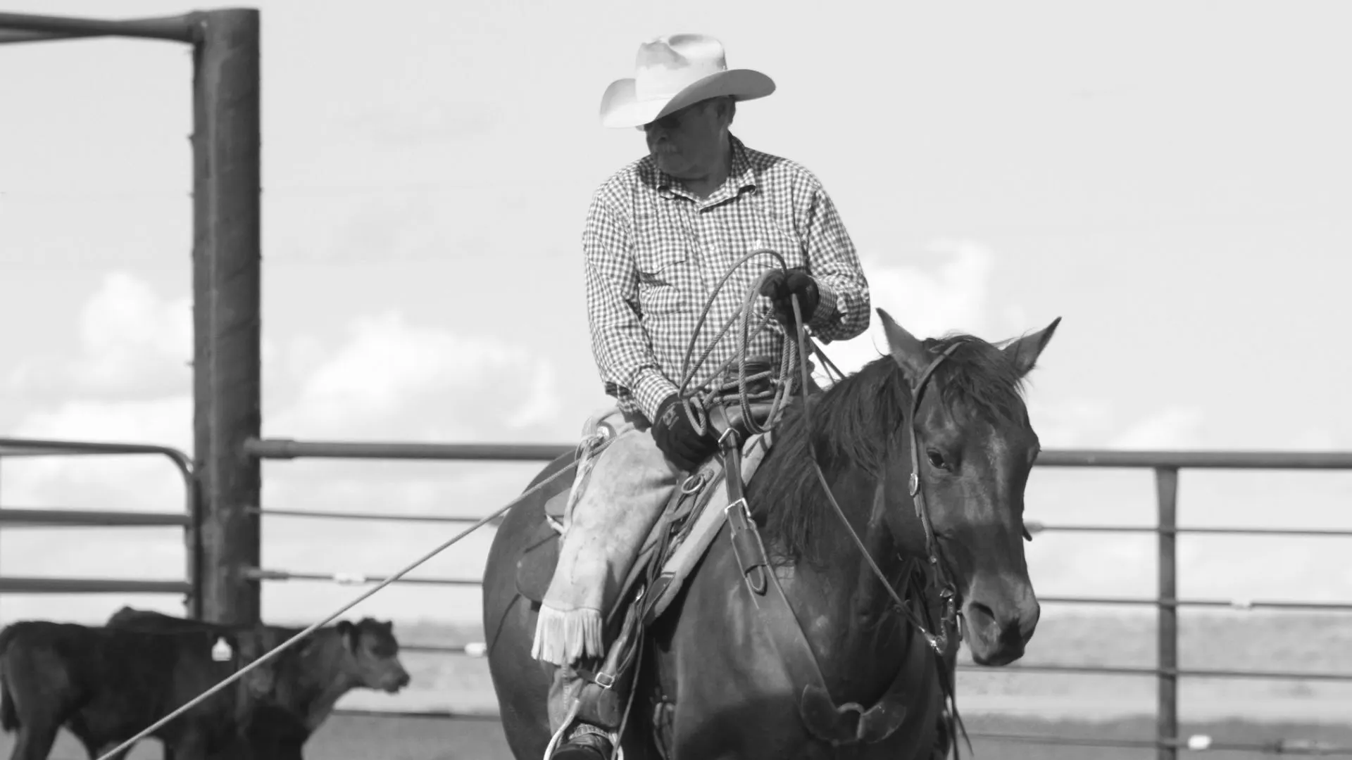 Matt Avery, Campbell County Rancher And Expert Saddlemaker, As Cowboy ...
