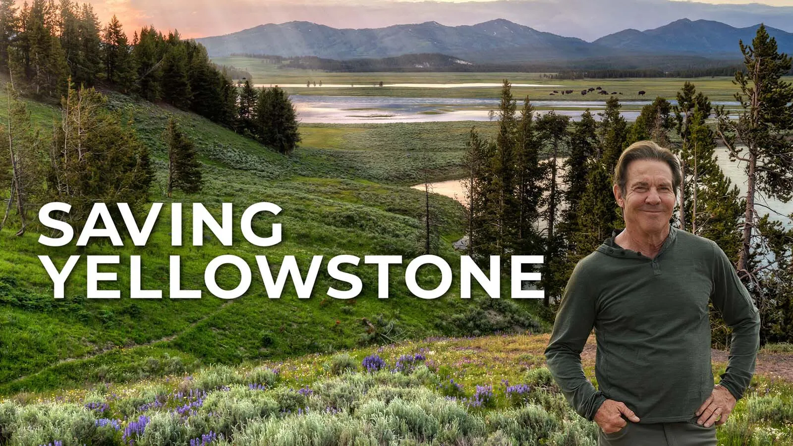 New Series “Saving Yellowstone With Dennis Quaid” Premieres On Animal ...
