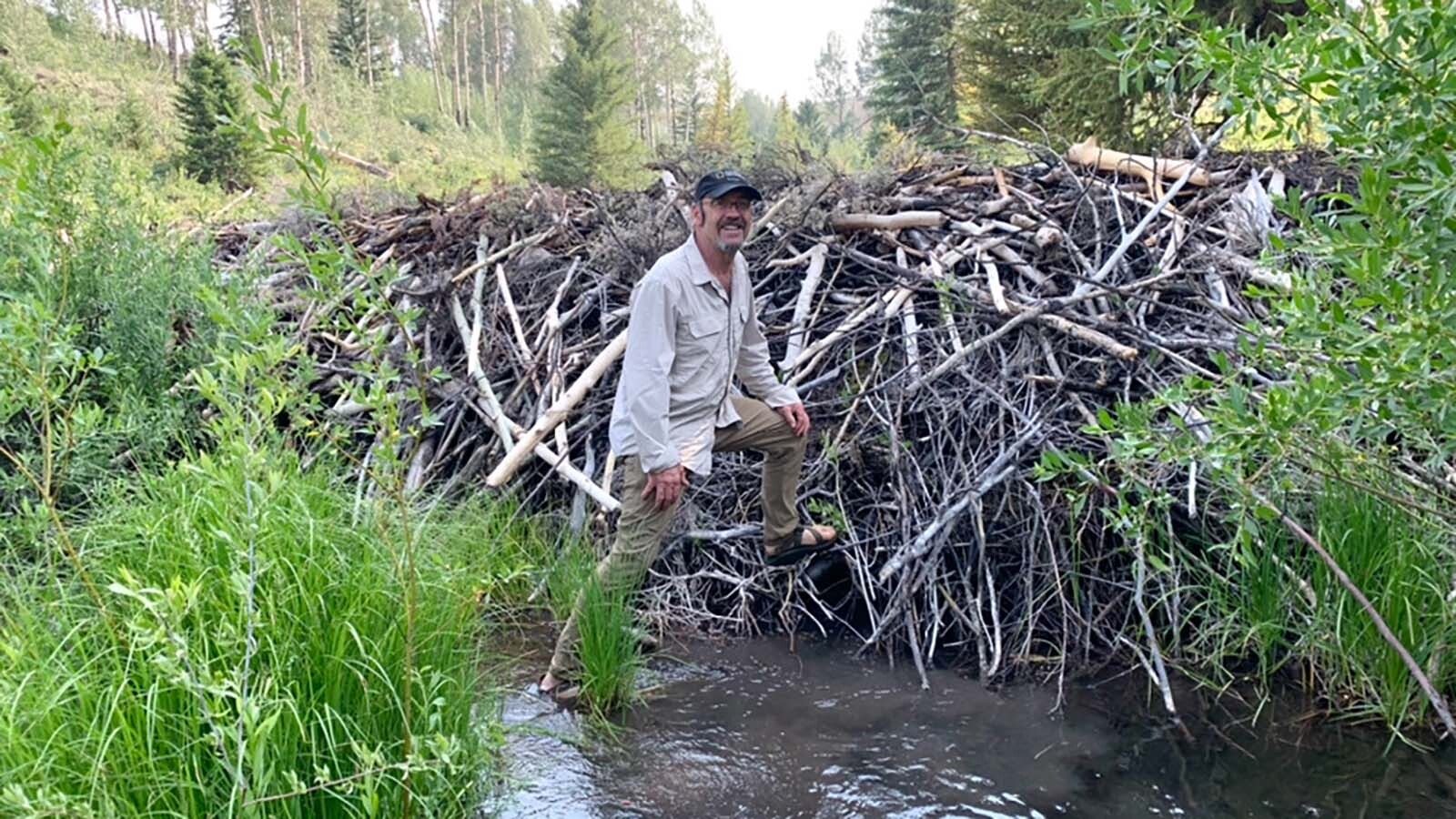 New Series “Saving Yellowstone With Dennis Quaid” Premieres On Animal ...
