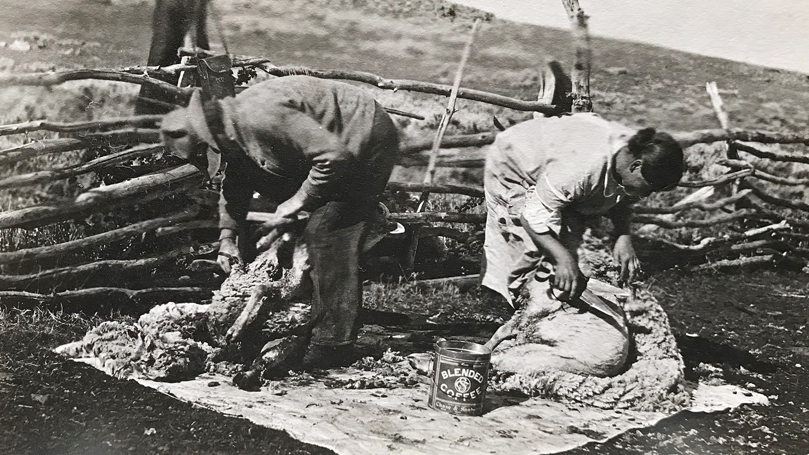 Wyoming’s Pioneering ‘Sheep Queen’ Faced Down Cattlemen And Mountain ...
