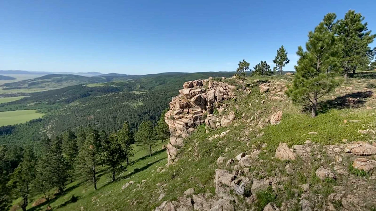 Low-Flying Aerial Surveys Over Wyoming Hunt For Mother Lode Of Rare ...