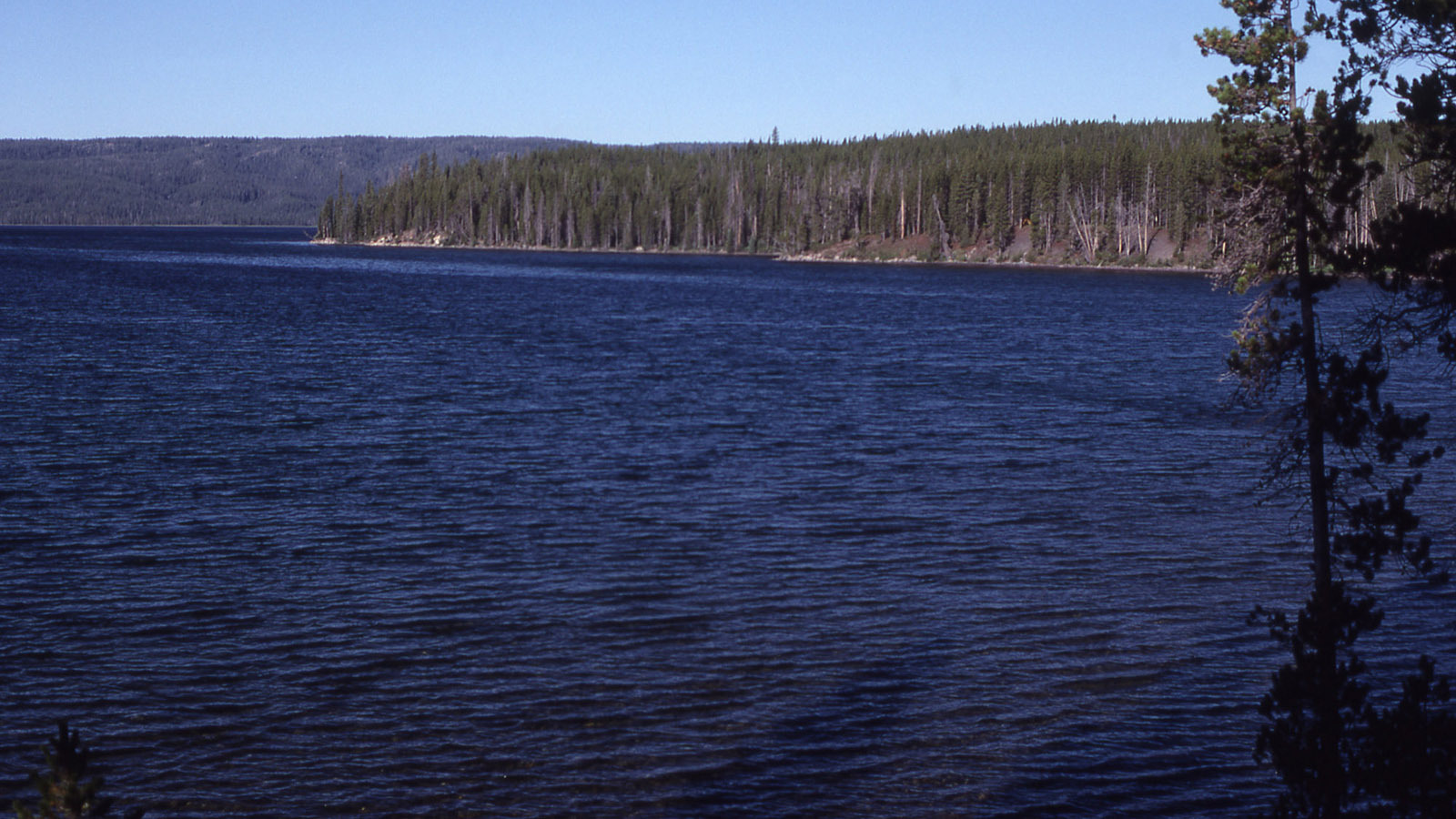 Yellowstone's Shoshone Lake Is The Largest Backcountry Lake In The ...