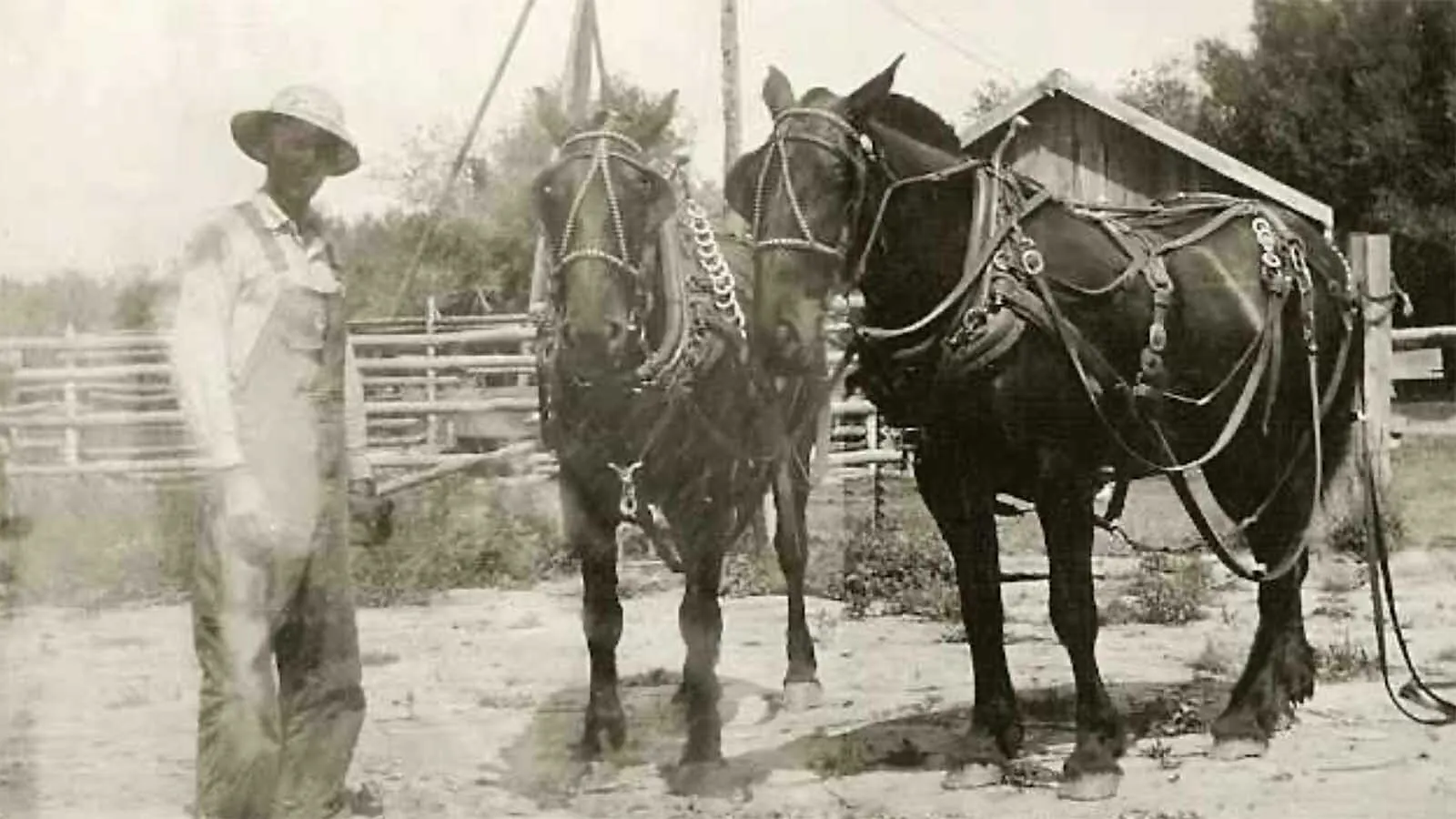 The Man Who Built And Pioneered The Use Of Snowplanes In Yellowstone ...