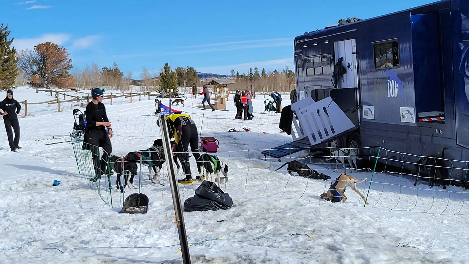 Pedigree Stage Stop Sled Dog Race Returns To Dubois After 20-Year ...