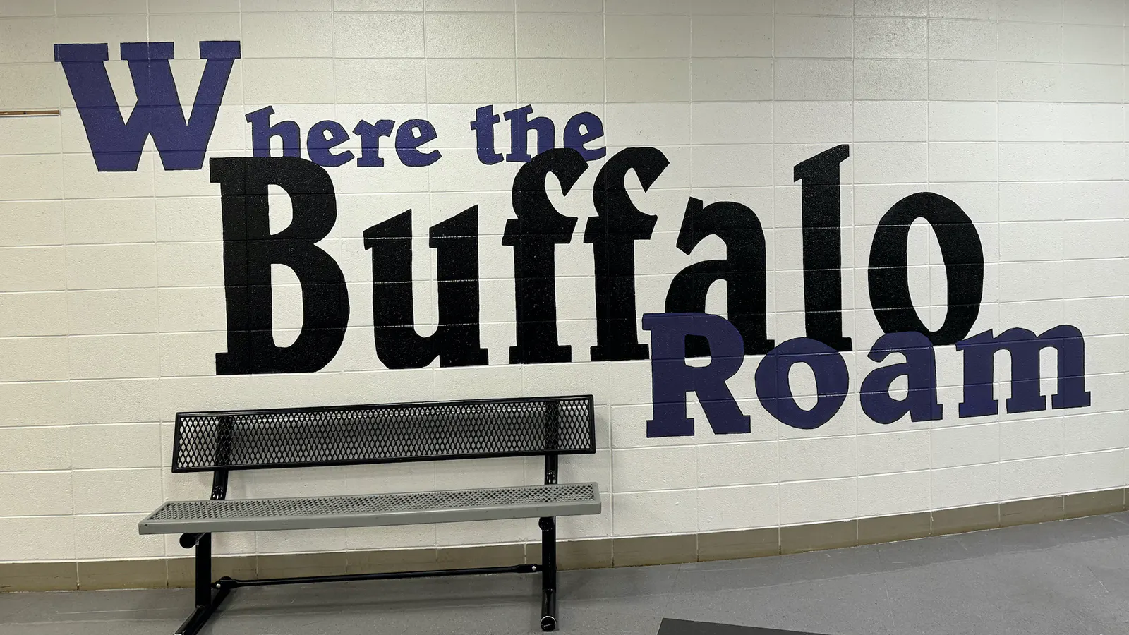 ‘The Dome’: Tiny Mountain View, Wyoming’s Cathedral To Basketball ...