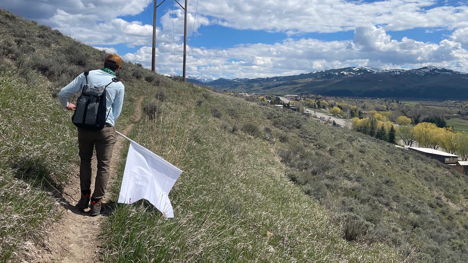 A New Hobby? Wyoming Scientists Looking For People To Go Out And ...