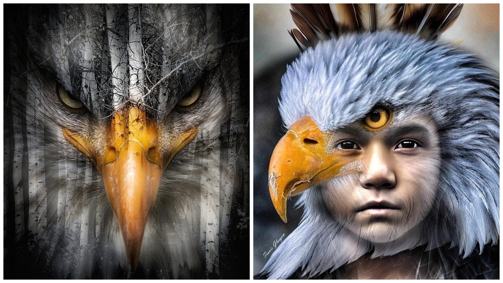 Casper Artist's Unique Wildlife - Landscape Fusions Gain International ...