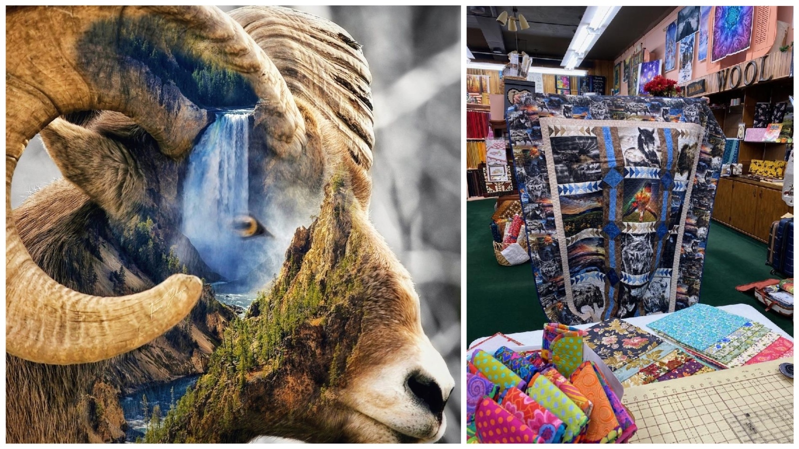 Casper Artist's Unique Wildlife - Landscape Fusions Gain International ...