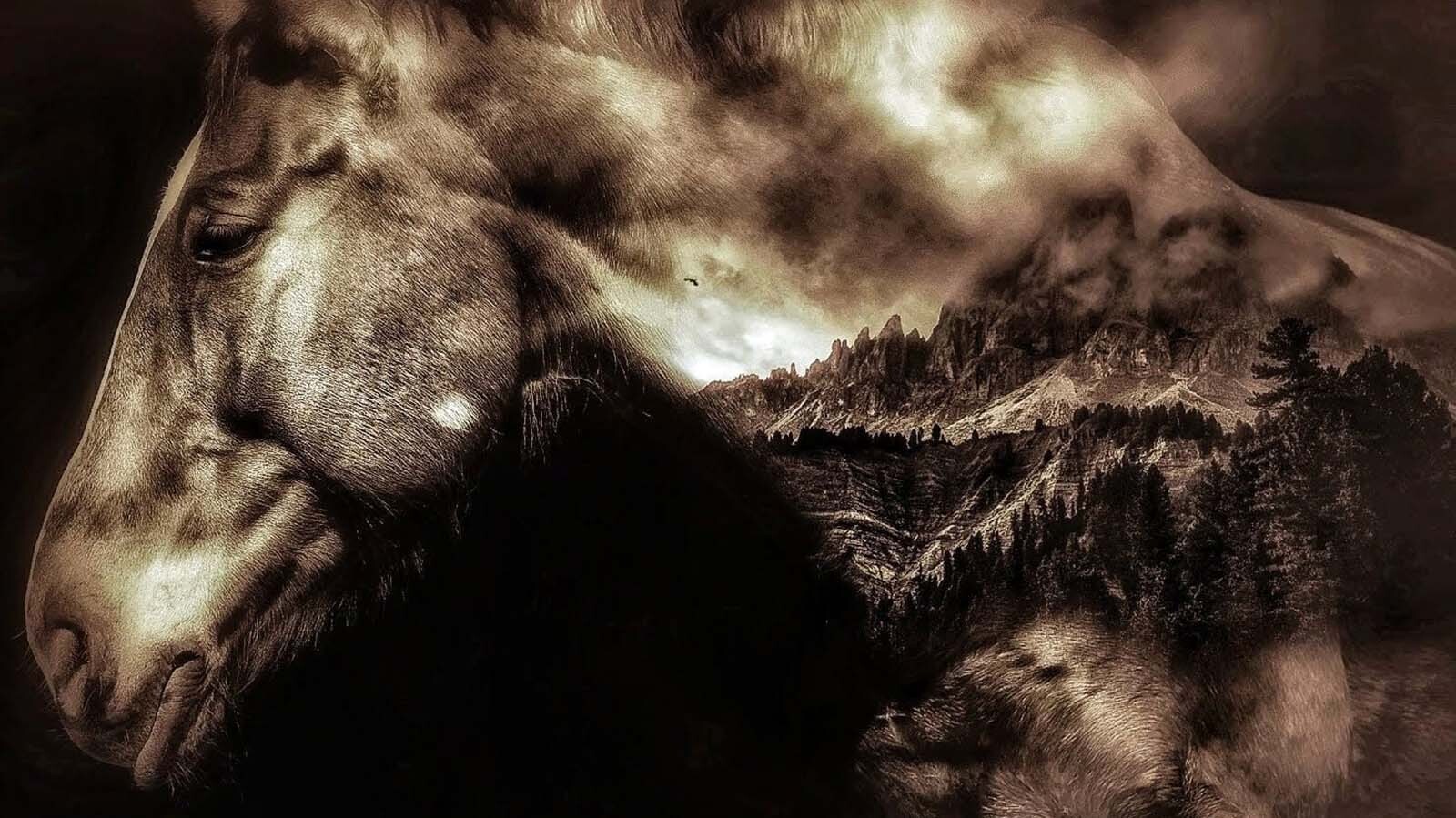 Casper Artist's Unique Wildlife - Landscape Fusions Gain International ...