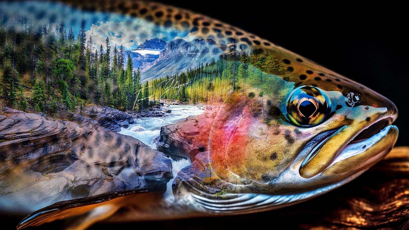 Casper Artist's Unique Wildlife - Landscape Fusions Gain International ...