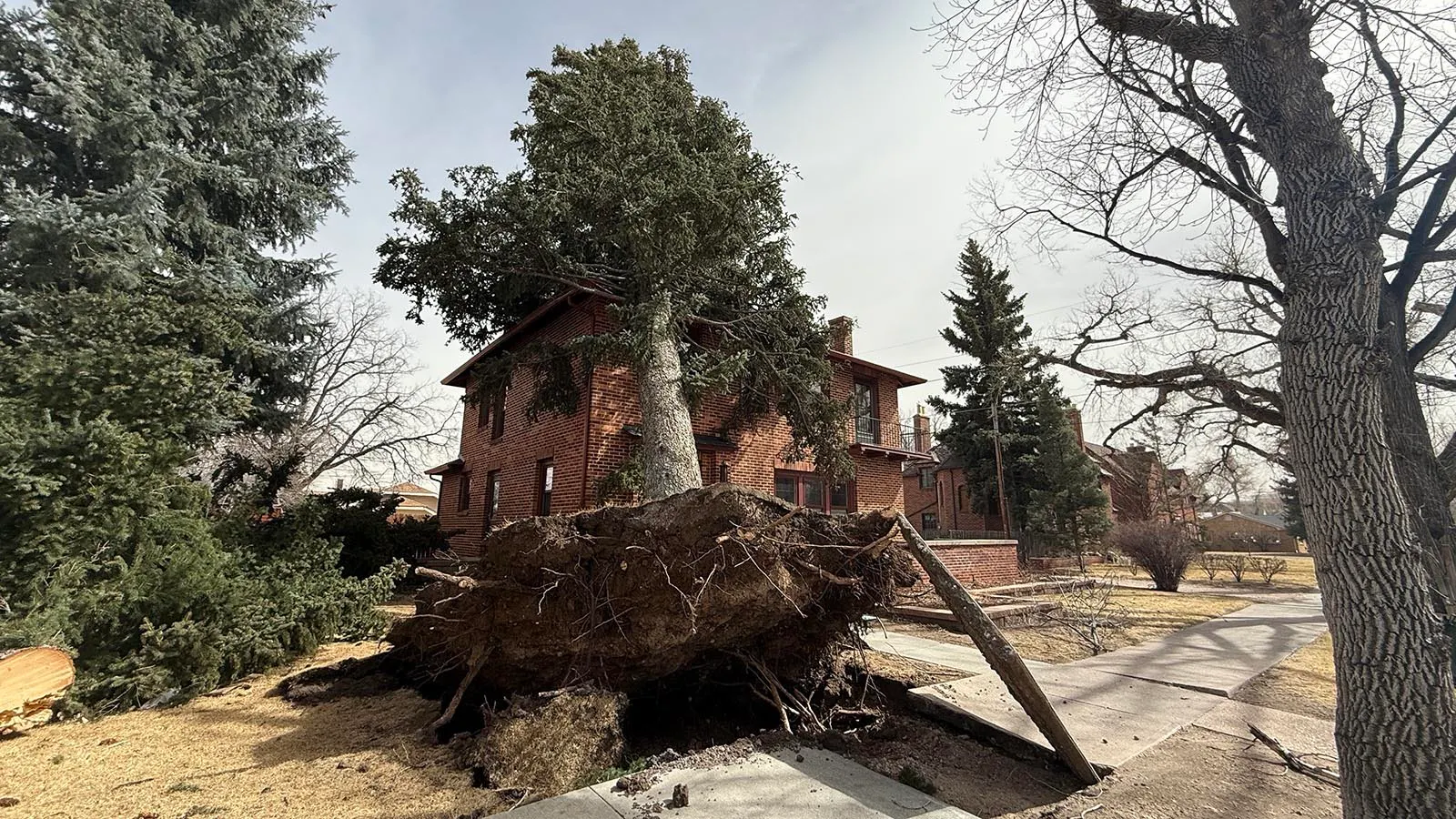 Now The Cleanup Begins: Cheyenne Mayor Declares Emergency After Massive ...