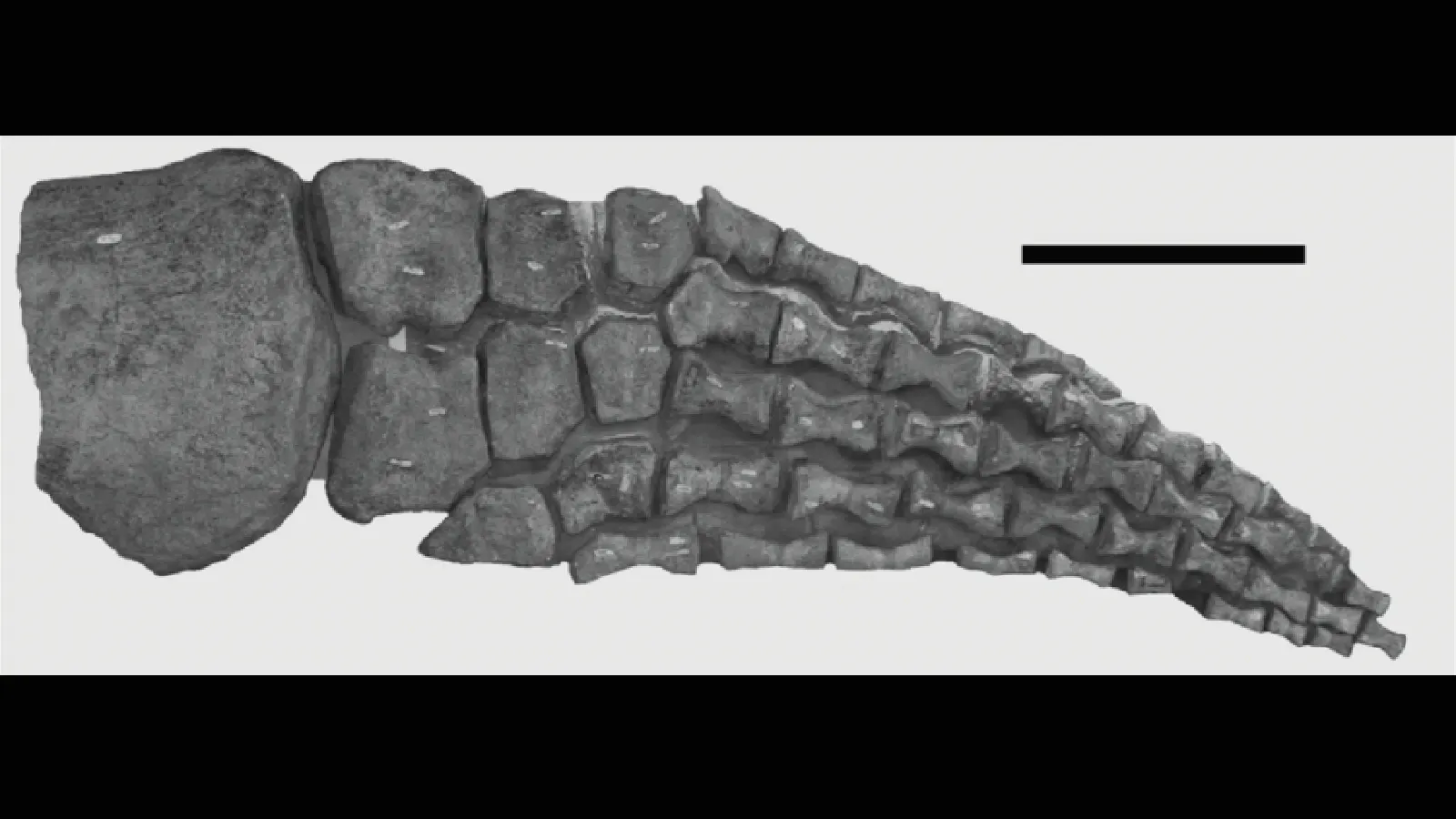 No Sign Of Nessie, But Wyoming’s Been Revealing Real Monsters For ...