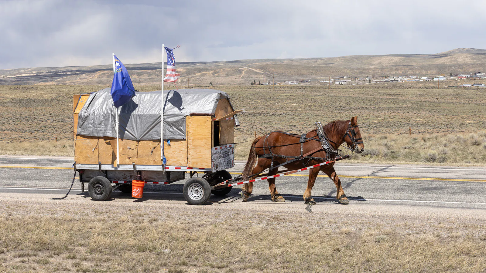 Man Who’s Spent 18 Years In A Horse-Drawn Wagon Is Rolling Across ...