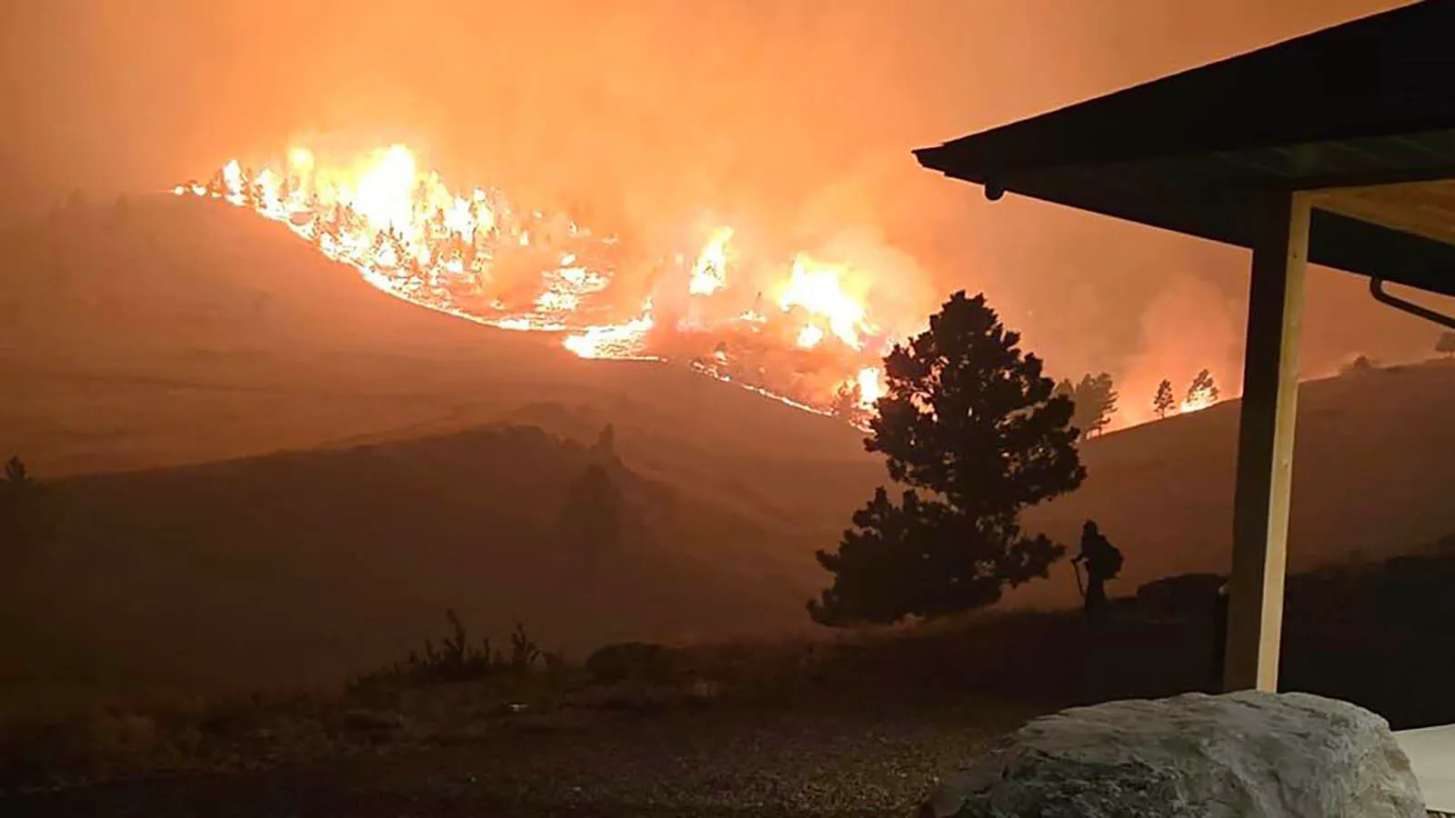 Armed With A Hose And Weed Sprayer, Wyoming Man Defends His Home From ...