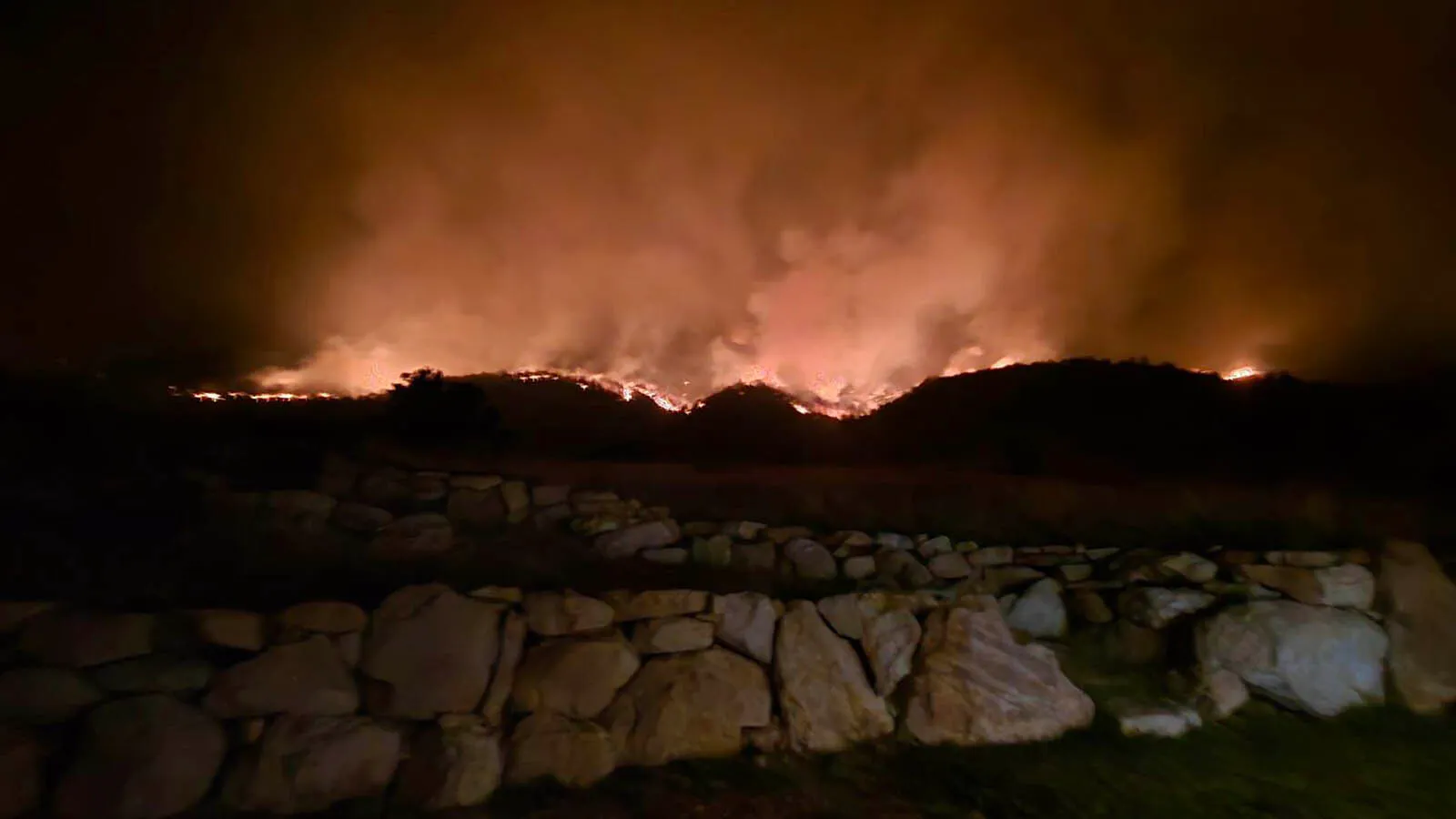 Armed With A Hose And Weed Sprayer, Wyoming Man Defends His Home From ...