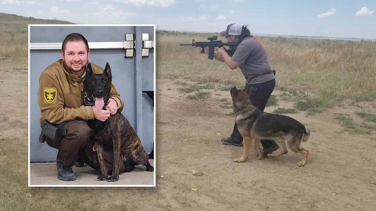 A Police K-9’s Career Is Less Than 10 Years, But They’d Work Forever If ...