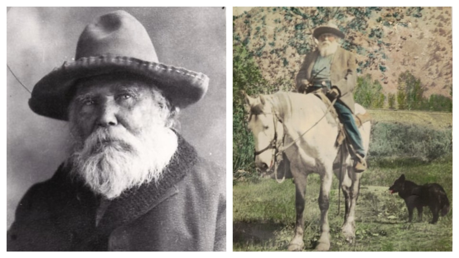 The Time Wyoming's 'Wildcat Sam' Was Surrounded By Seven Packs Of ...