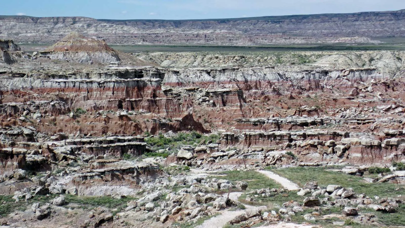Why 54-Million-Year-Old Owl Vomit Found In Bighorn Basin Is A Big Deal ...