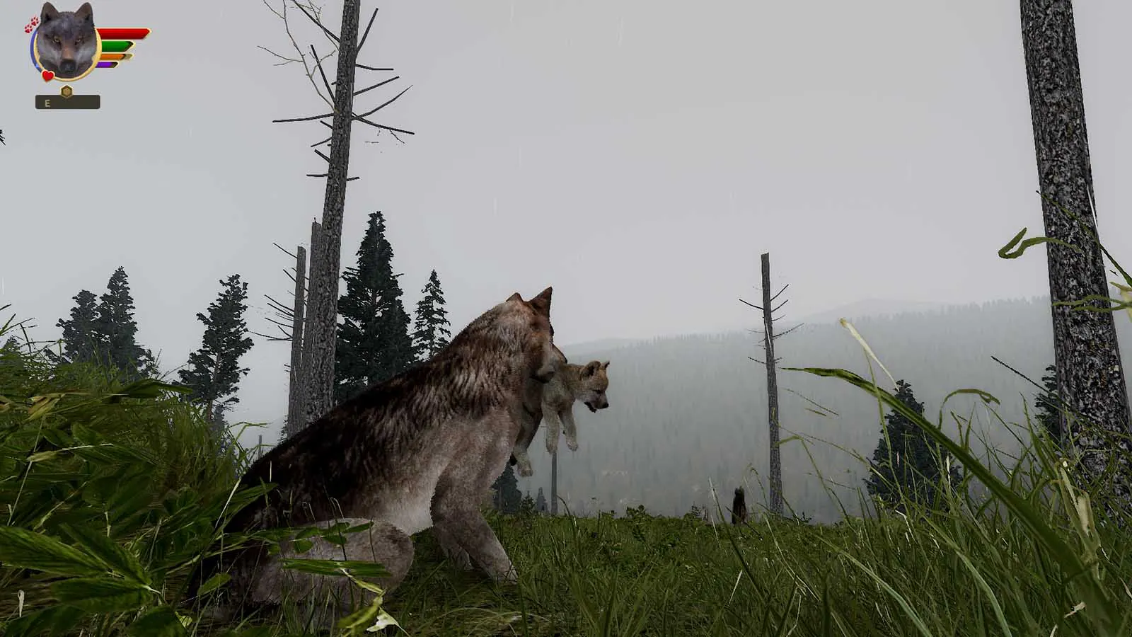 Hundreds Of Thousands Pretend They're Yellowstone Wolves In Online Game ...