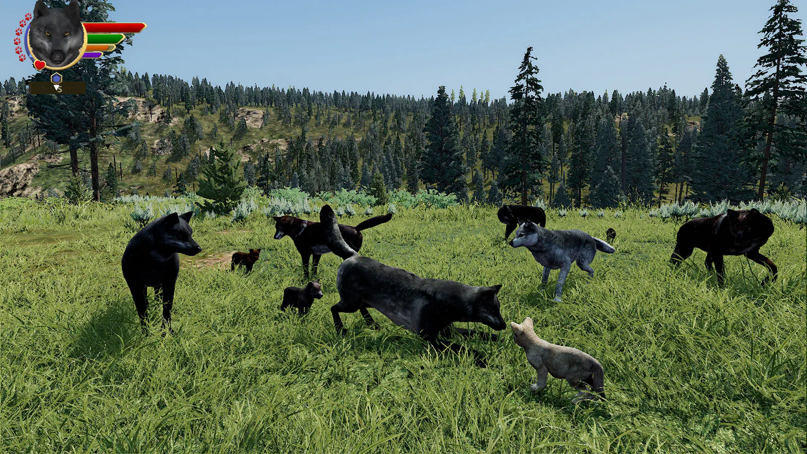 Hundreds Of Thousands Pretend They're Yellowstone Wolves In Online Game ...