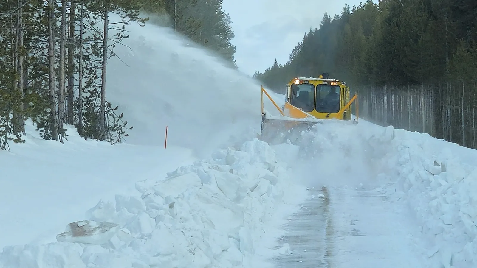 Crews With Trucks And Chainsaws Have Begun Months-Long Process Of ...