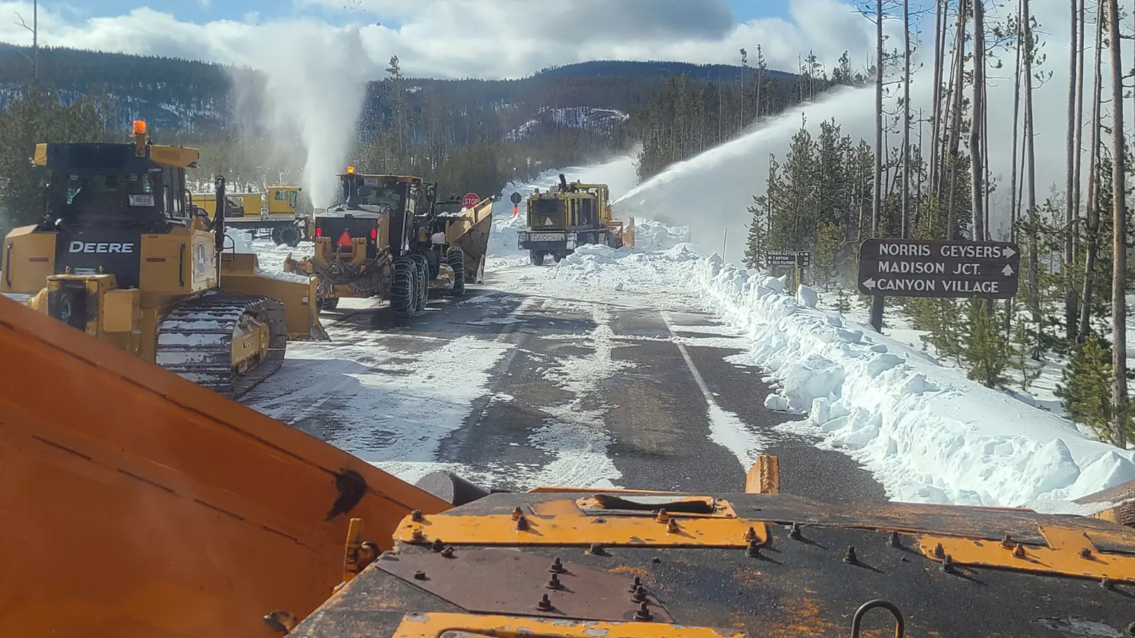 Crews With Trucks And Chainsaws Have Begun Months-Long Process Of ...