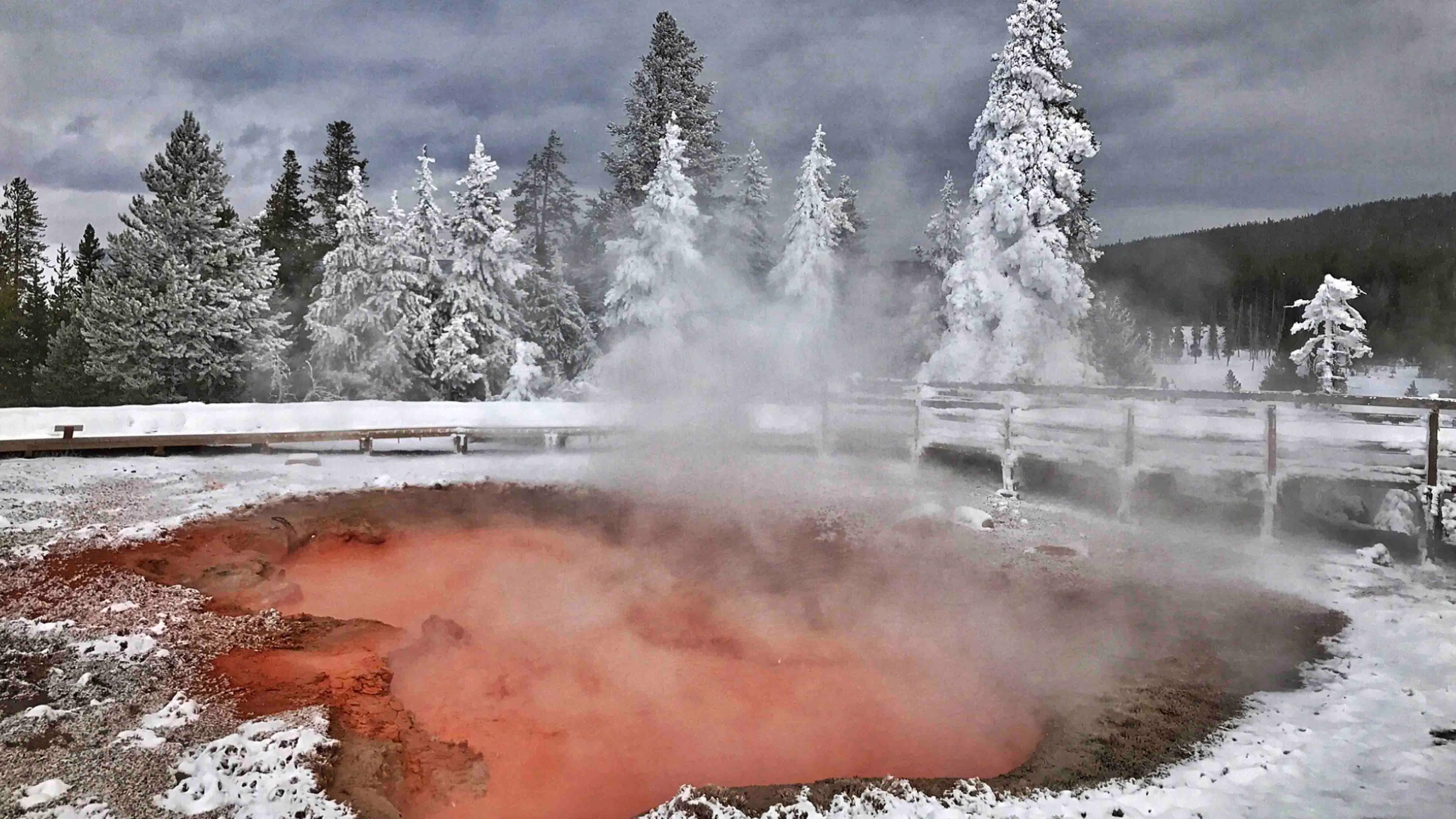 There Hasn't Been A New Name In Yellowstone In 25 Years (And May Never ...