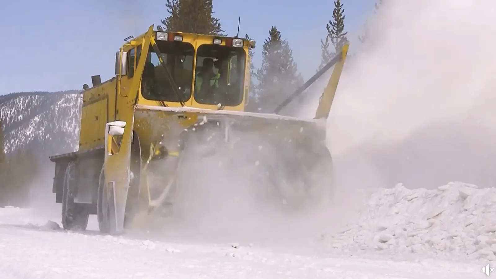 Crews With Trucks And Chainsaws Have Begun Months-Long Process Of ...