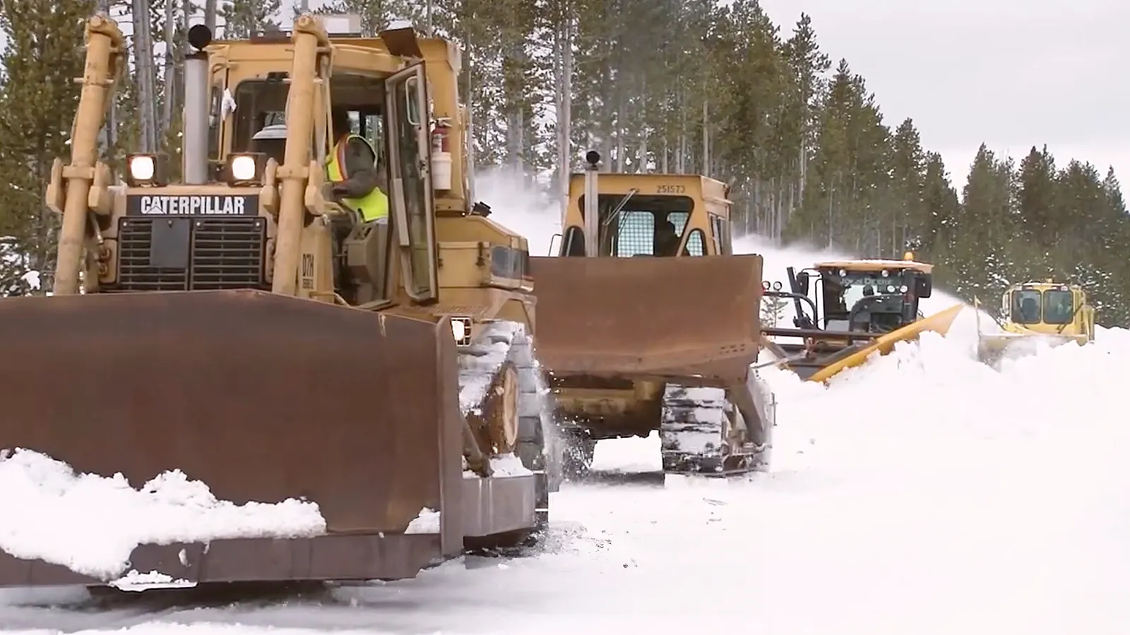 Crews With Trucks And Chainsaws Have Begun Months-Long Process Of ...