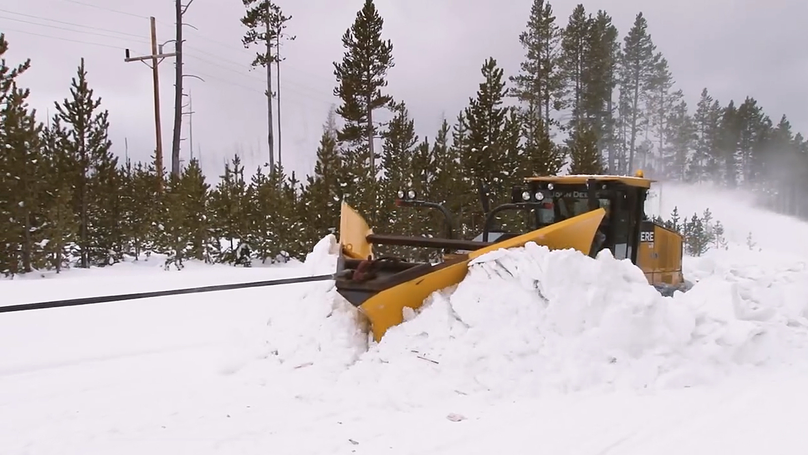 Crews With Trucks And Chainsaws Have Begun Months-Long Process Of ...