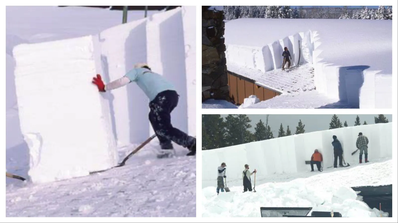 Crews With Trucks And Chainsaws Have Begun Months-Long Process Of ...