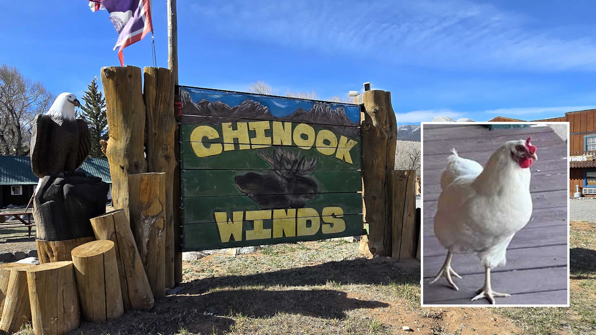 Traveling Wyoming: At Dubois Lodge, Guests Share Motel With Free-Range ...