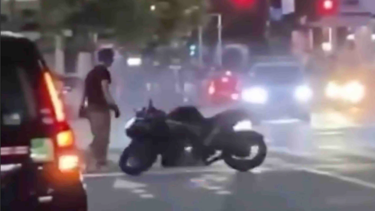 Daily Darwin: Wednesday, May 27, 2026 | Cowboy State Daily