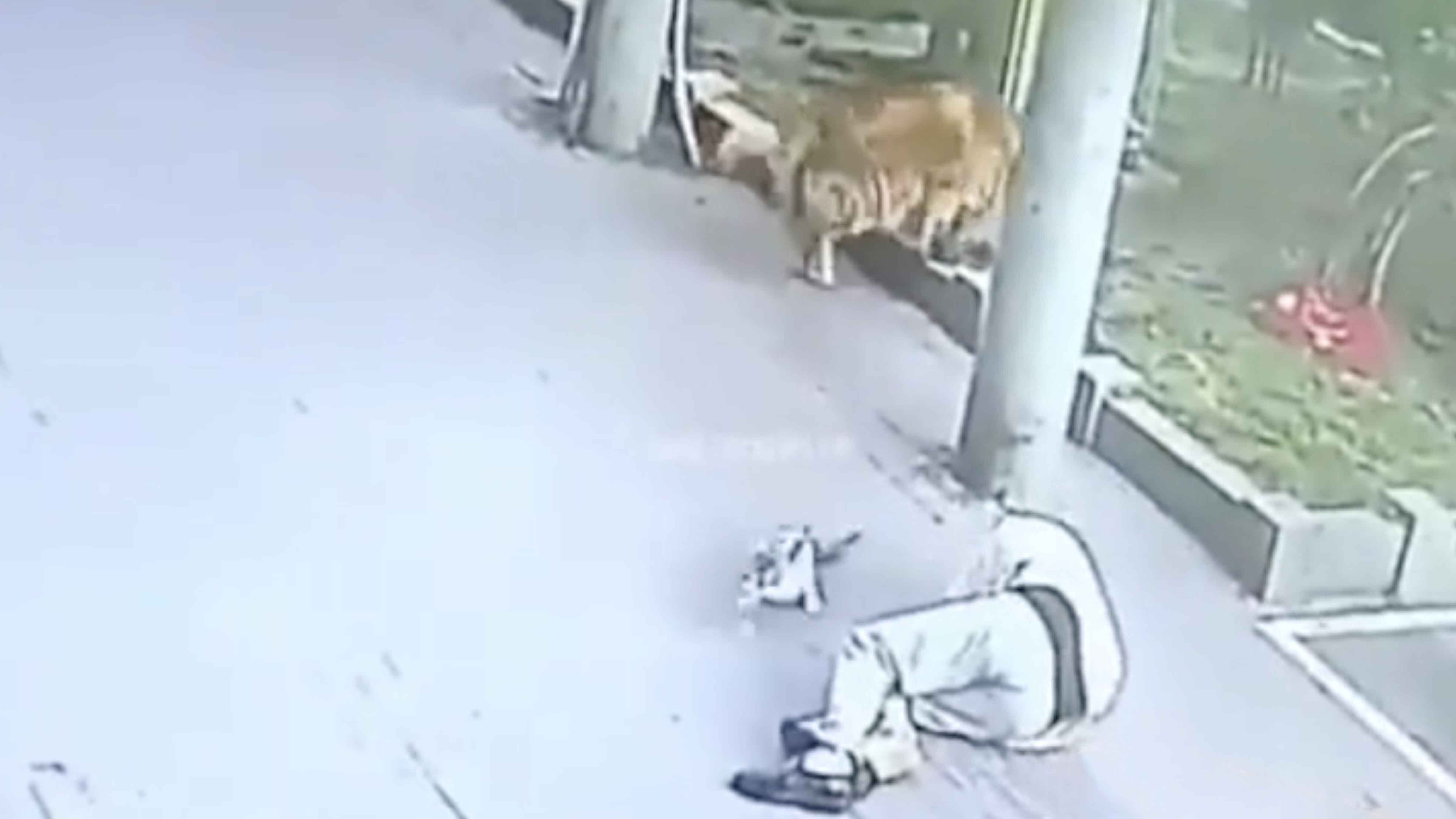 You Still Here | Cowboy State Daily