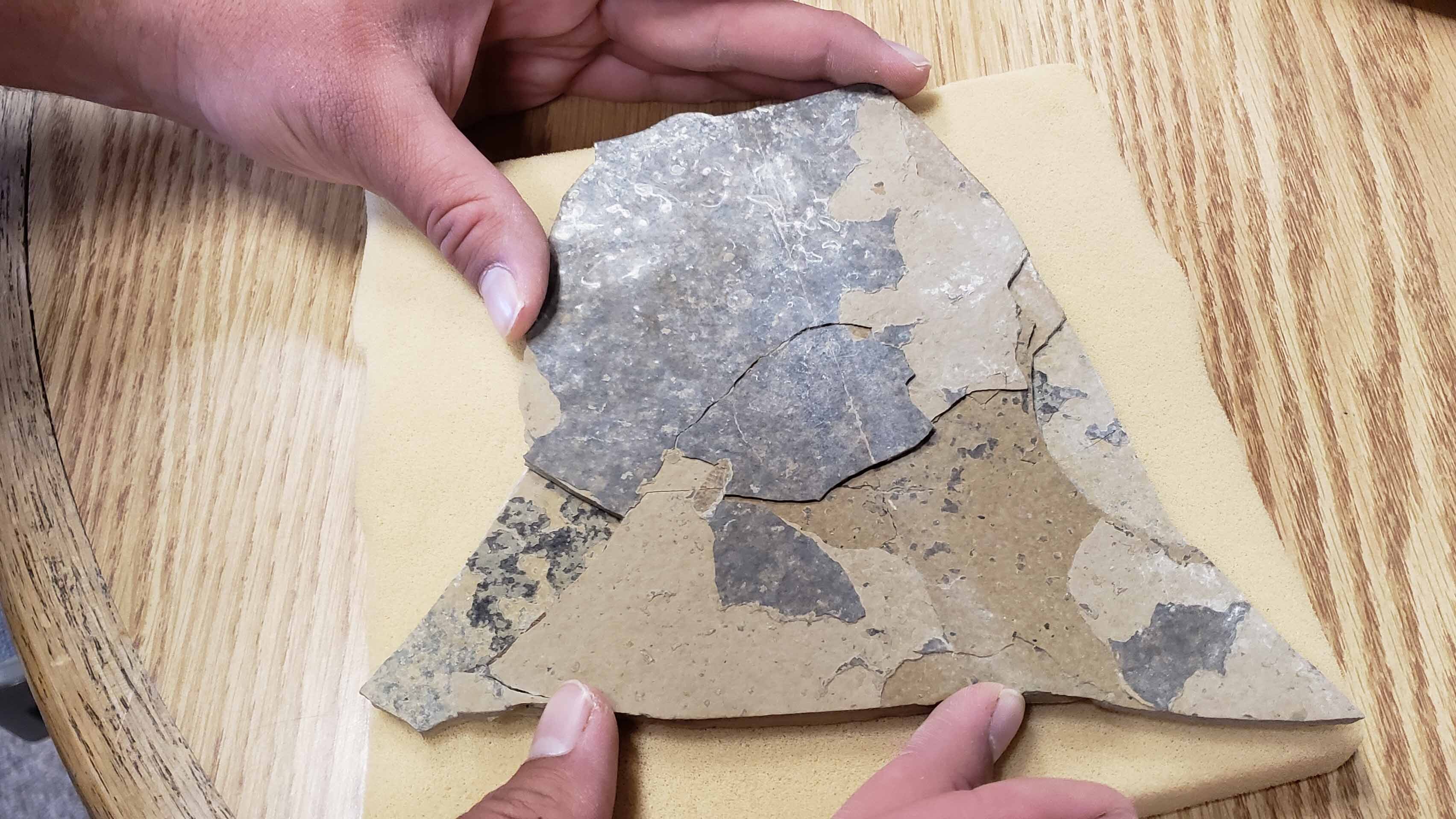 Wyoming Places: Tourists Can Get Up Close With Fossils At Fossil Butte ...