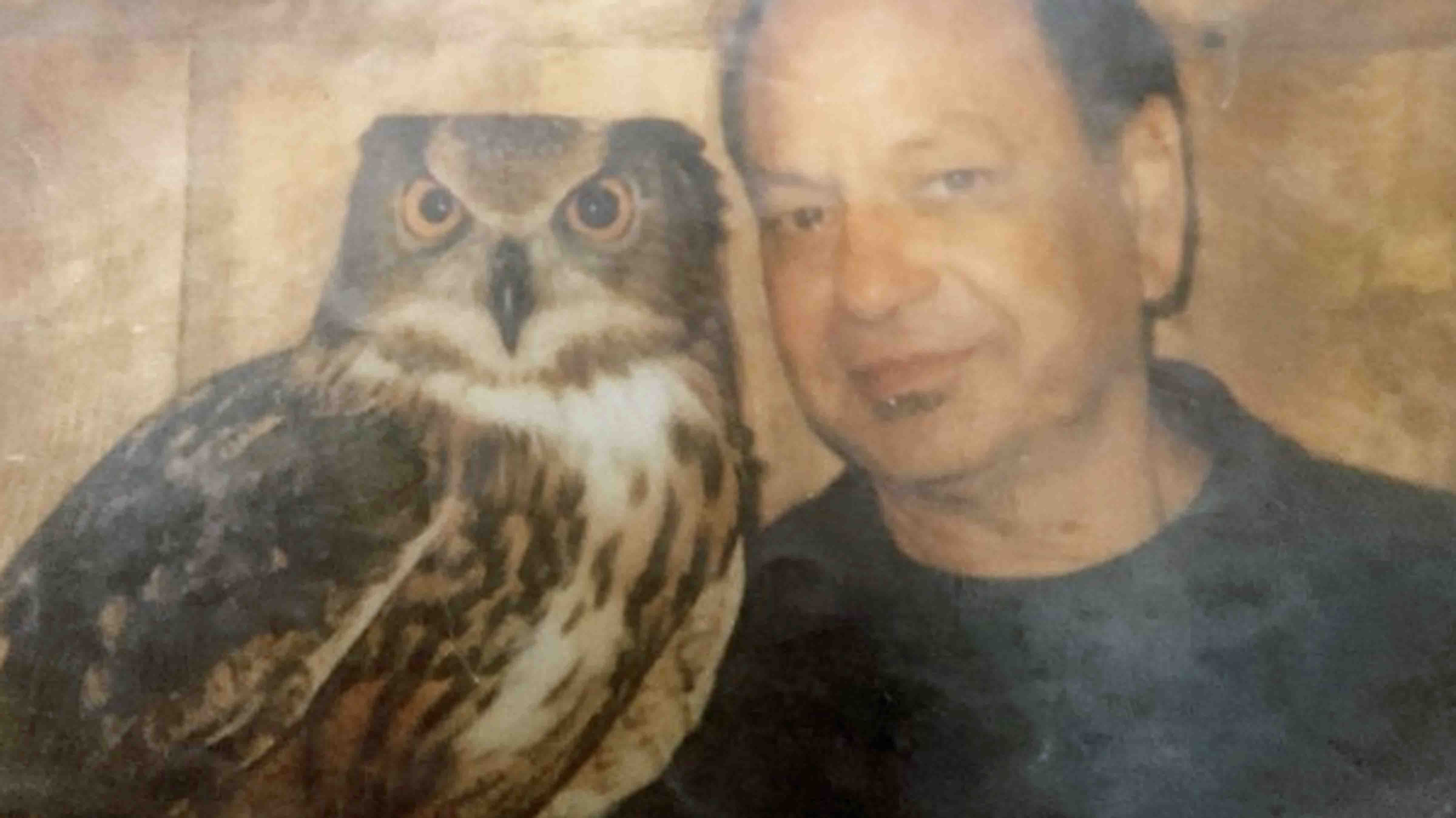 Meet Hoot, A Wyoming Owl Who Is The Most Famous Owl In The World ...