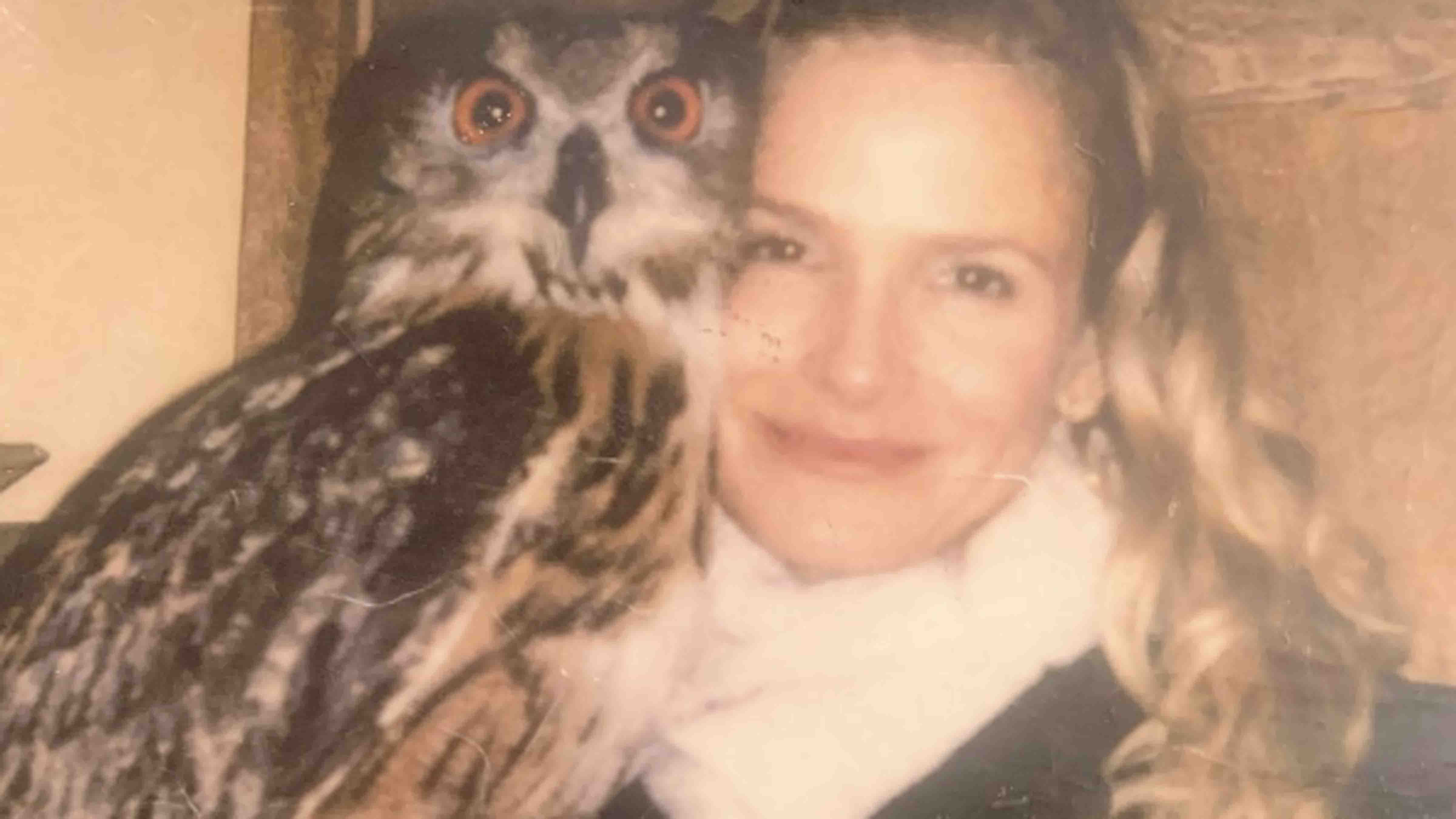 Meet Hoot, A Wyoming Owl Who Is The Most Famous Owl In The World ...