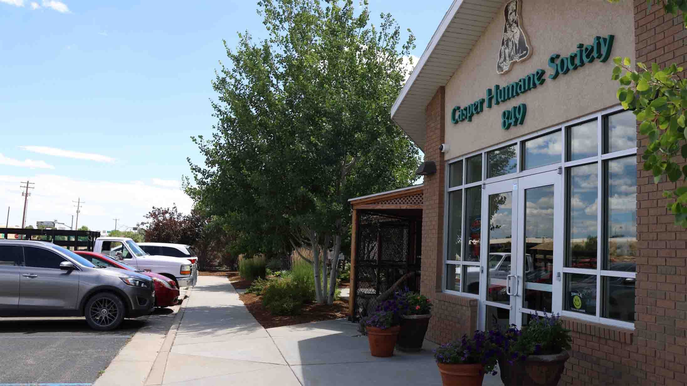 Casper Humane Society Scrambles To Care For 42 Abandoned Guinea Pigs ...