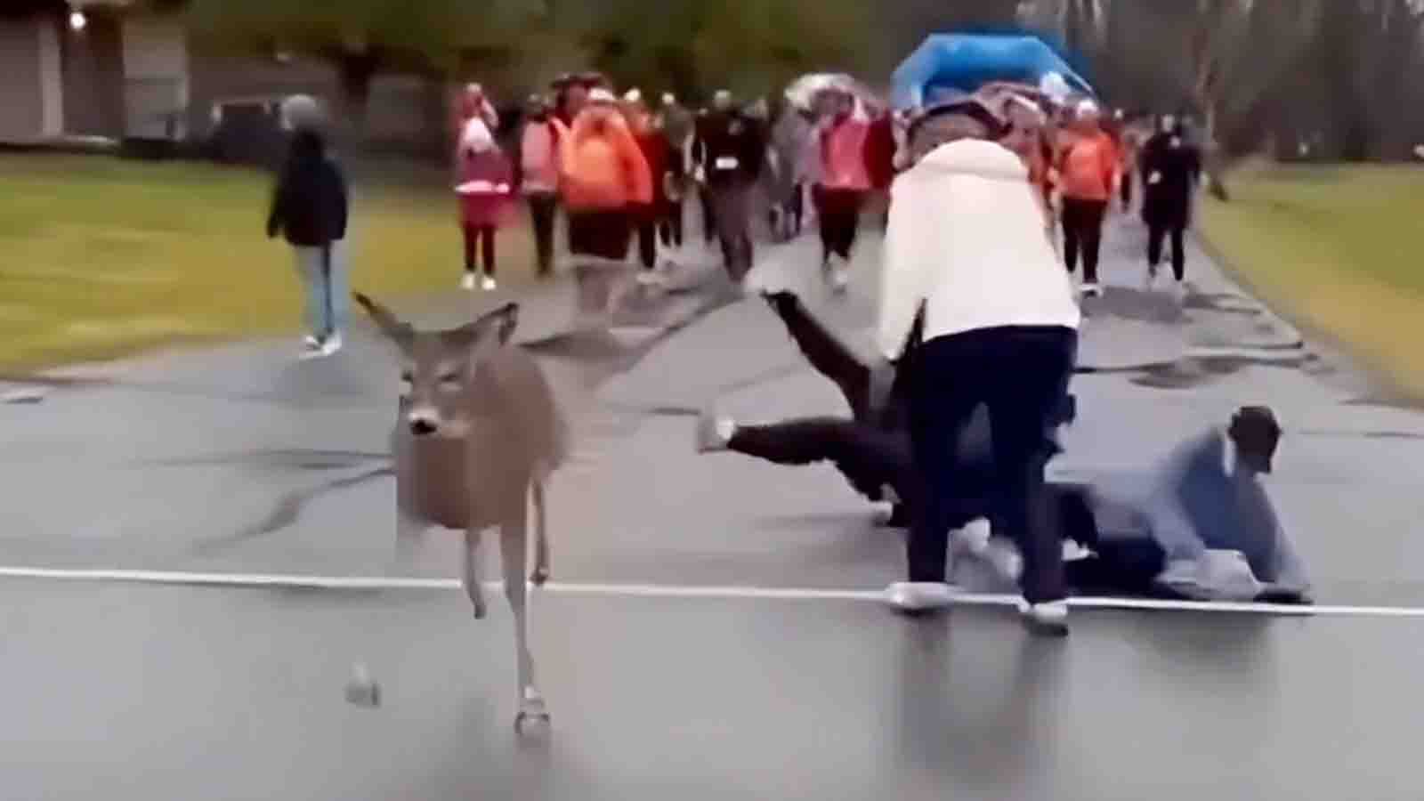 Steve Inman: Friday, December 26, 2025 | Cowboy State Daily