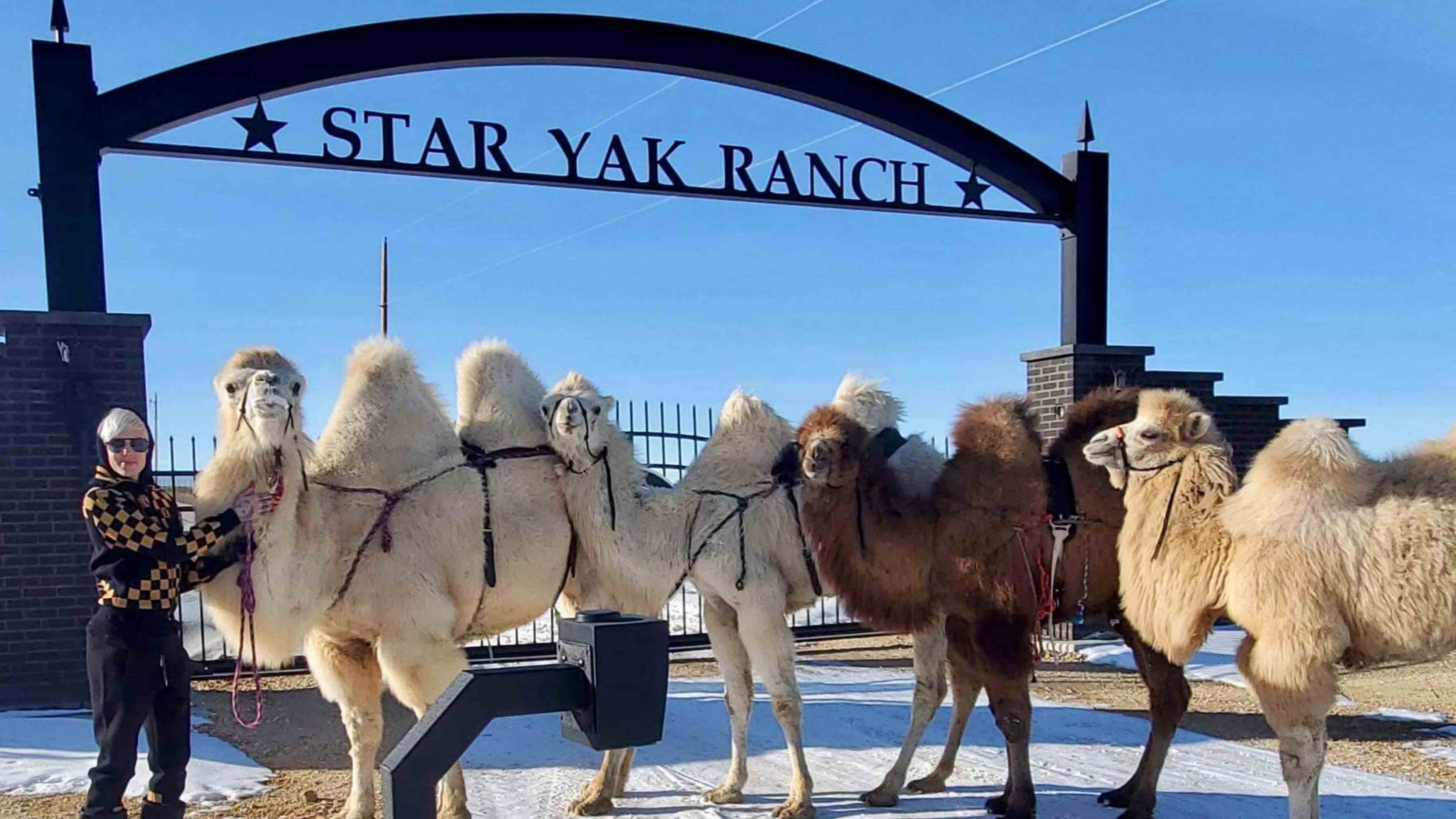 Meet Wade Wohl, The Wyoming Rancher Who Helps Run Jeffree Star’s Yak ...