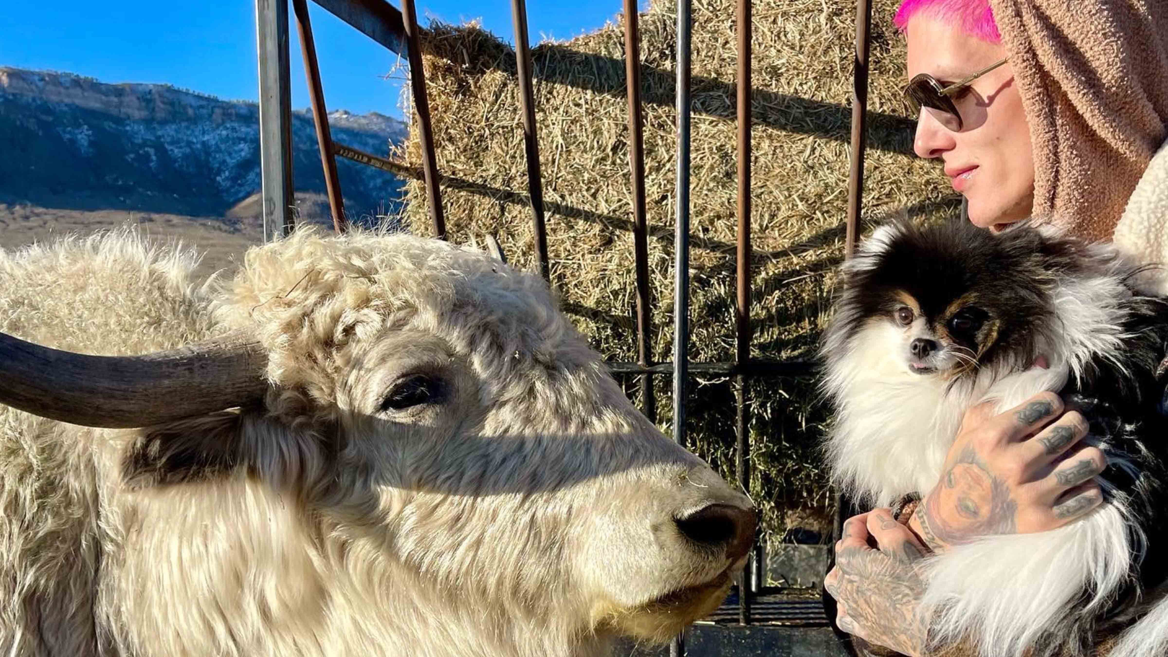 Meet Wade Wohl, The Wyoming Rancher Who Helps Run Jeffree Star’s Yak ...