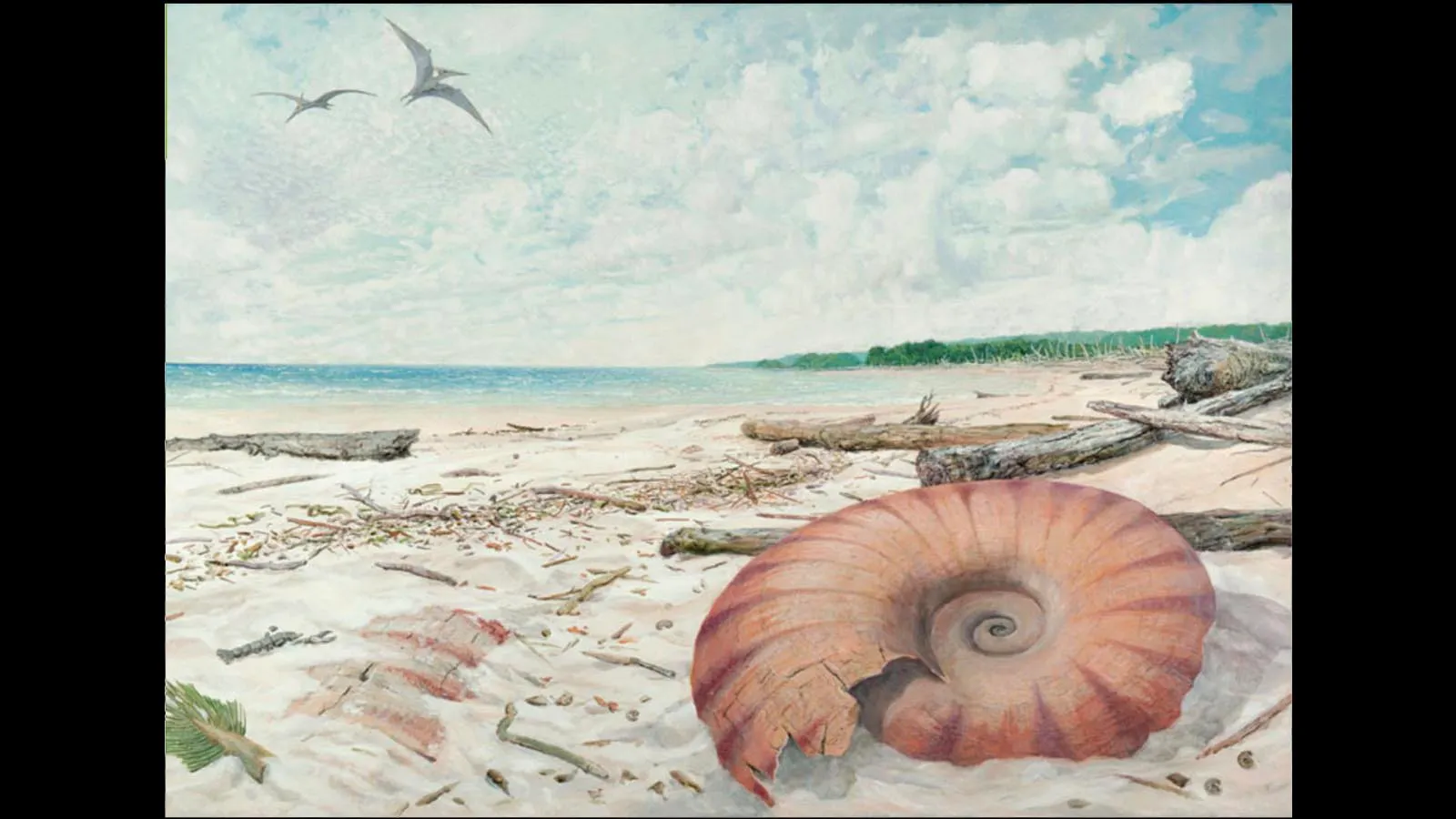 Wyoming’s Huge Fossil Finds Inspire Artist To Recreate Its Ancient ...