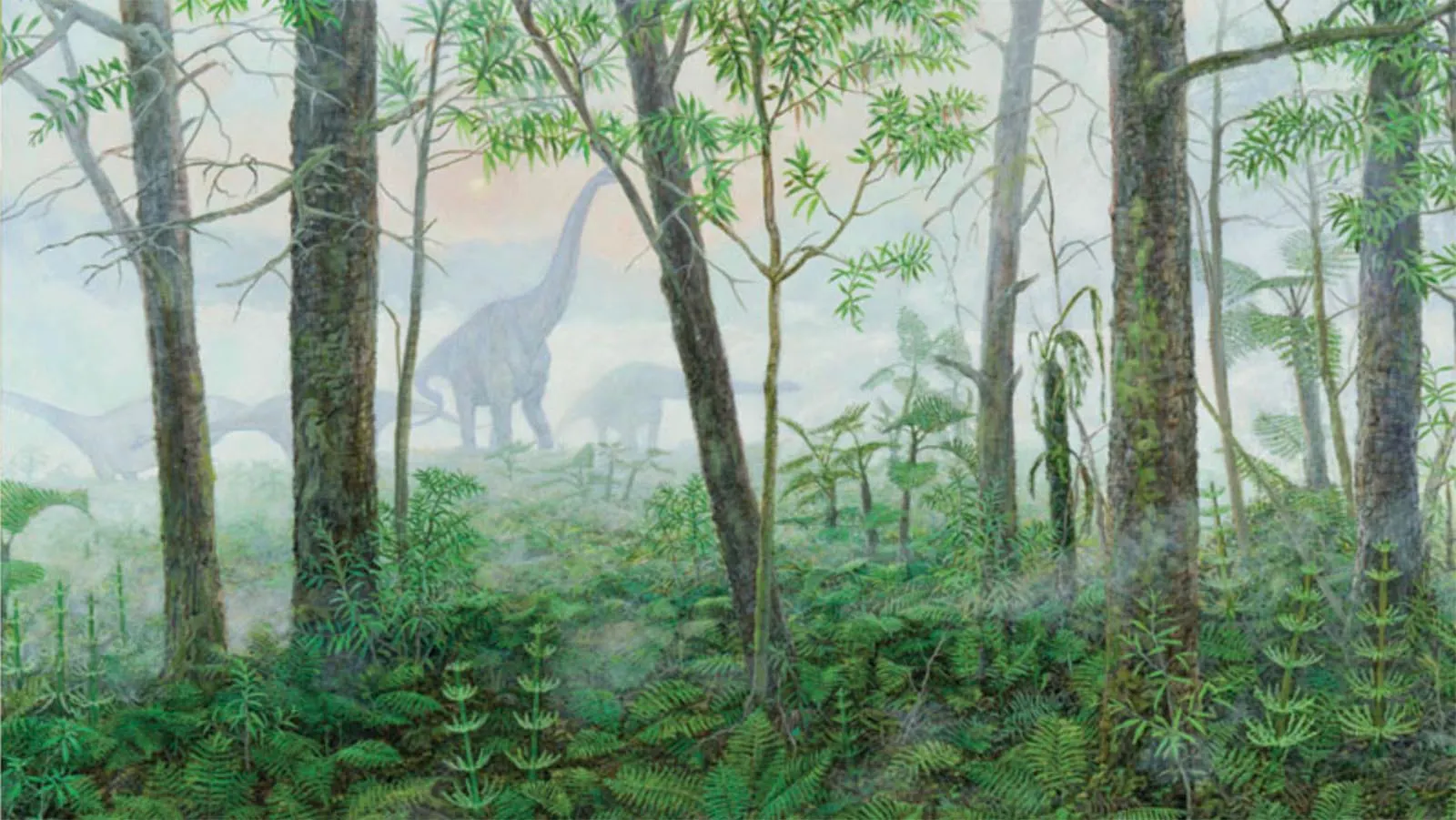 Wyoming’s Huge Fossil Finds Inspire Artist To Recreate Its Ancient ...