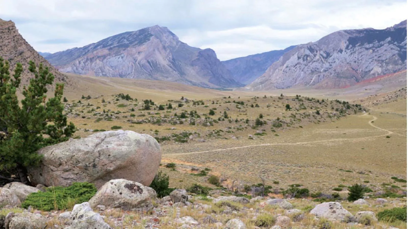 Wyoming’s Huge Fossil Finds Inspire Artist To Recreate Its Ancient ...