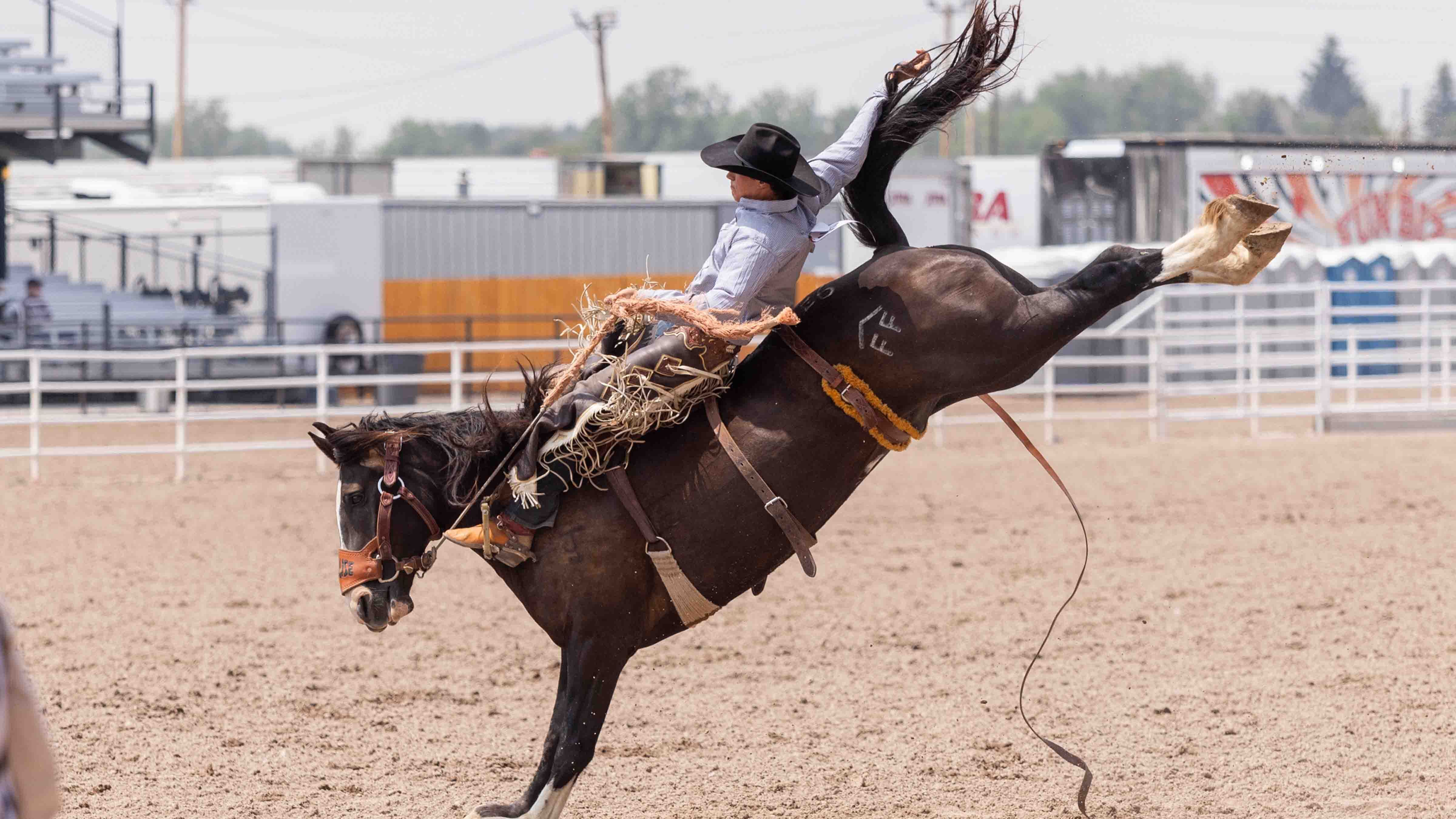 Cheyenne Frontier Days Photo Gallery: Thursday, July 25, 2024 | Cowboy ...