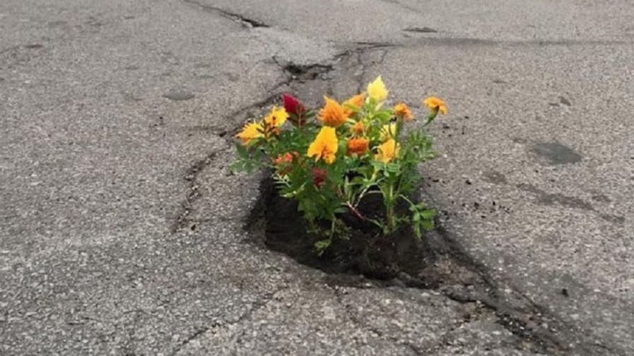 Aggravating Rite of Spring: It’s Pothole Season in Wyoming | Cowboy ...