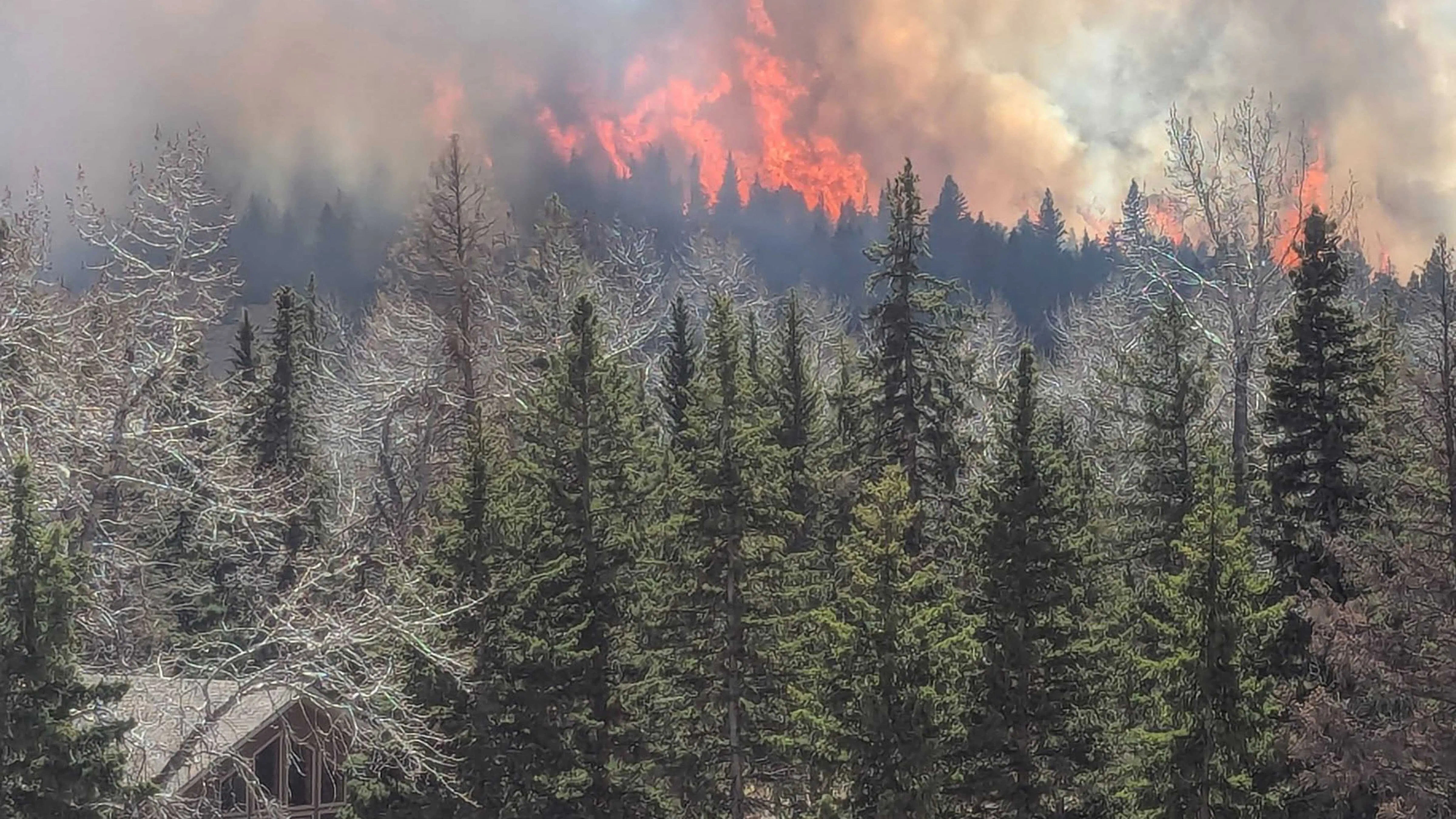 Red Lodge Residents Evacuated as 'Rapidly Moving' Fire Burns Near ...